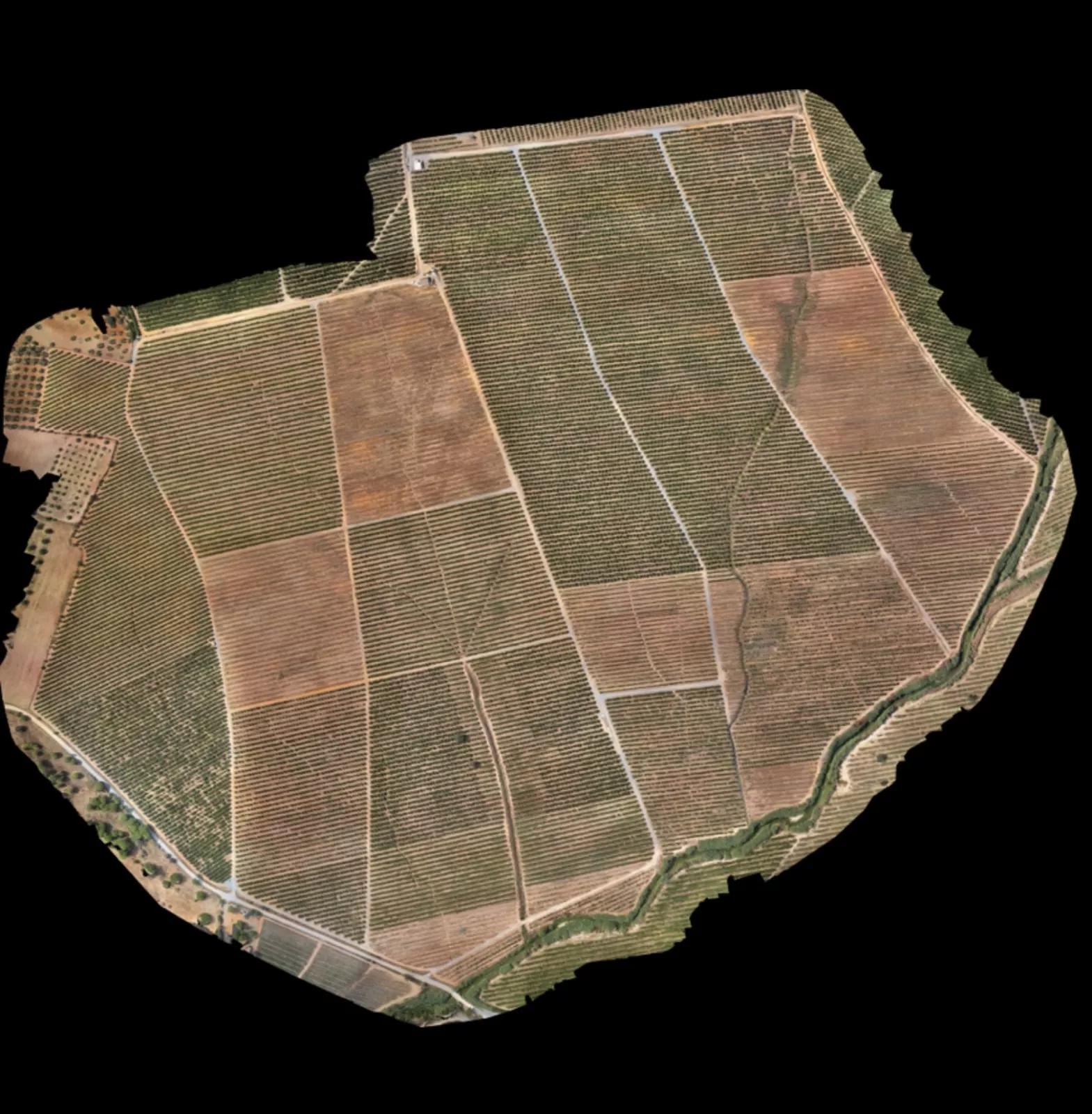 Servicio De Topografia Con Drones | DRONING